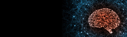 How to Improve Memory and Concentration: Tips and Strategies – Medpak